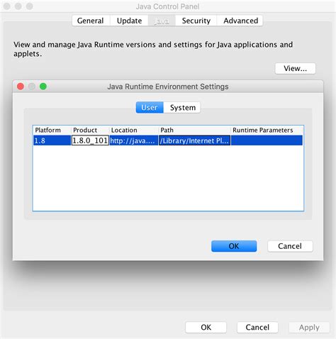 java java home isn t being set saved to the path variable after the