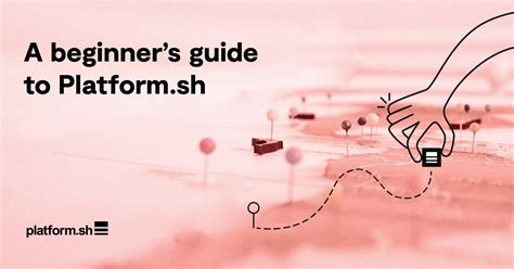 a beginner s guide to platform sh platform sh