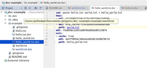data version control dvc support intellij ides plugin marketplace