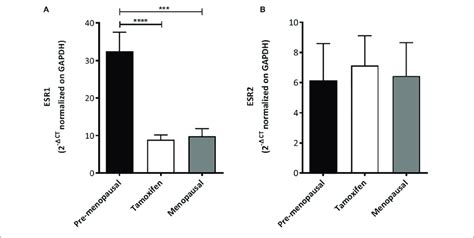 Expression Of Estrogen Receptor By Ascs A Qrt Pcr Analysis For