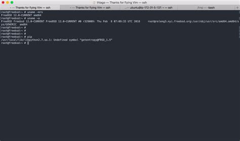 freebsd 12 0 current kde5 the freebsd forums