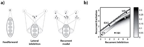 Orientation Tuning Models And Bayesian Posterior Over Models A