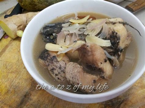 Resepi Ikan Yu Dalam Pantang Resep Masakan Khas
