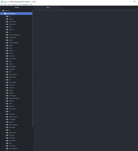 node js javascript issue installing npm packages nodemon express
