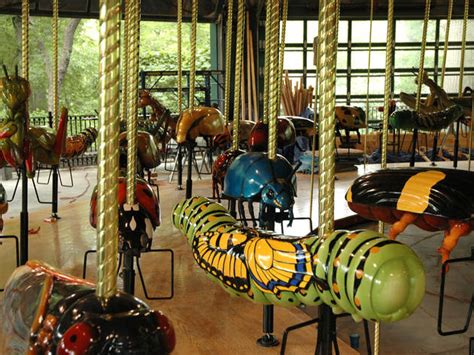 bug carousel attractions in bronx