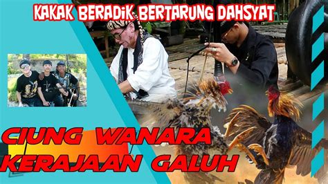 Ciung Wanara Adu Jago Pantun Sunda Kerajaan Galuh Mang Ade Pantun Youtube
