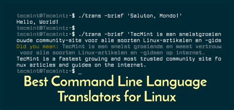 what is command language interpreter in linux systran box