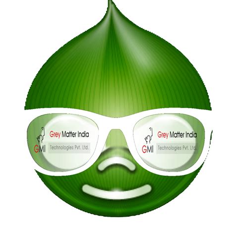 how to choose a perfect drupal theme for your website gmi