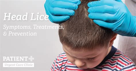 Head Lice Symptoms Treatments And Prevention Patient Plus