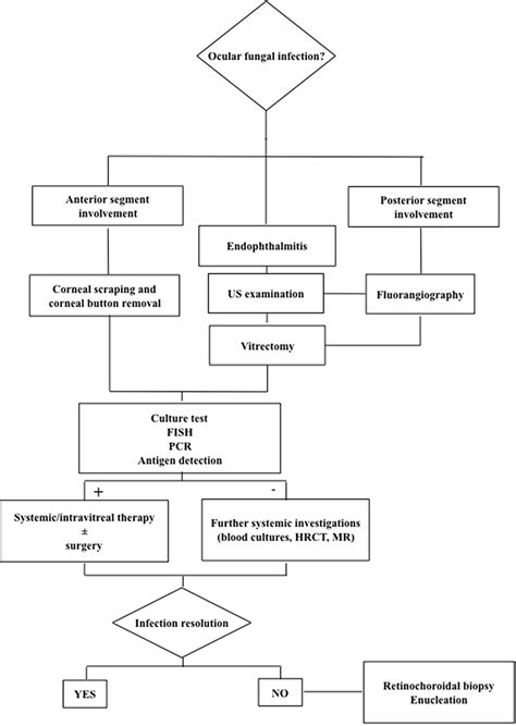 diagnostic and management strategies of aspergillus endophthalmitis c