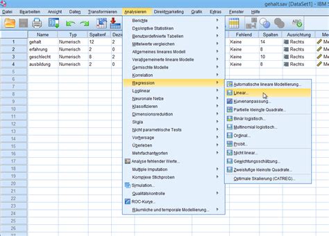 multiple lineare regression in spss durchführen statistikguru