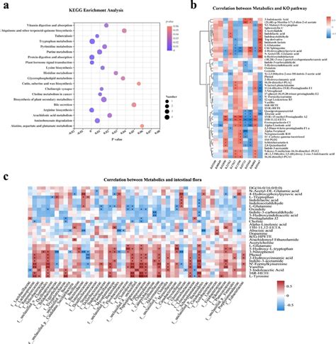 Pathway Analysis Of Metabolites A And Heatmaps Summarized Correlation