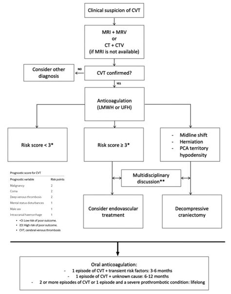 cerebral venous thrombosis cvt management algorithm prognostic