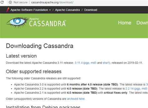 install cassandra common and critical approaches to install cassandra