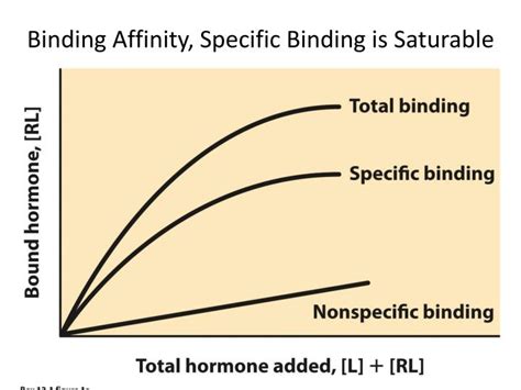 Ppt Bio Signaling Lehninger Chapter 12 Powerpoint Presentation Id