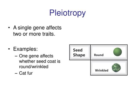 How Are Traits Inherited Ppt Download