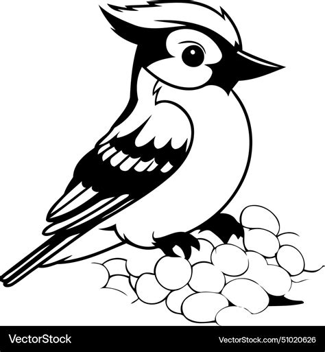 Blue Tit Bird Sitting On A Pile Of Peanuts Vector Image