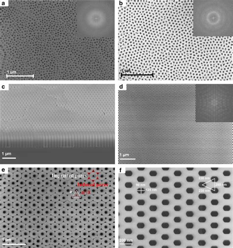 Scanning Electron Micrographs Of Porous Alumina A Simple Anodization