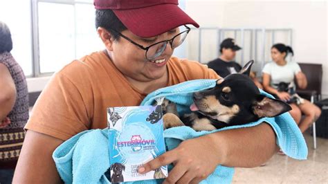 Preparan Gran EsterilizaciÓn Para Perros Callejeros Presidio Mx