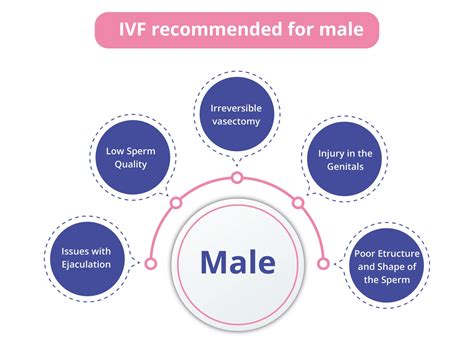 Ivf Treatment Process Types And Success Rate Birla Fertility And Ivf