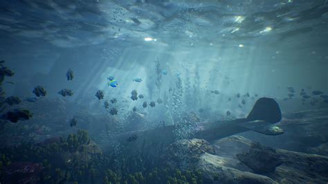 anıl İşbilir ocean floor environment