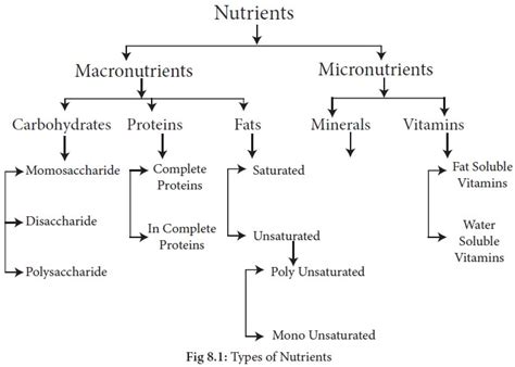 Importance Of Nutrients