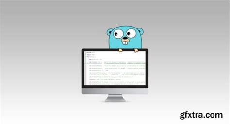 the go programming language guide code like a pro gfxtra