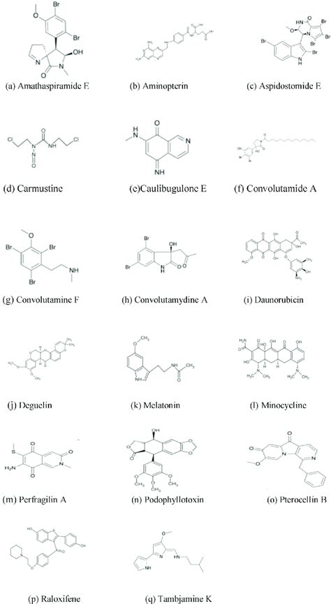 Molecular Structures Of Anticancer Drugs Download Scientific Diagram