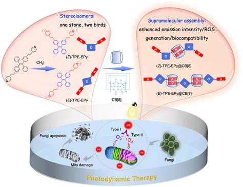Schematic Illustration Molecular Structures And Supramolecular