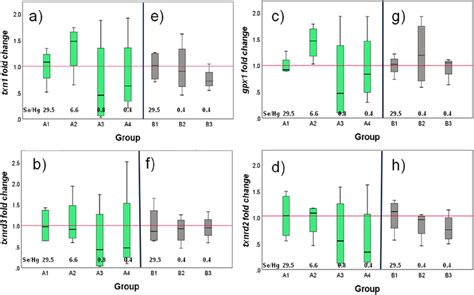 Boxplot Of The Effect Of Different Hg Concentrations On The