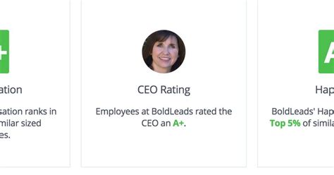 Bold Leads Is A Company That Generates Leads For The Real Estate Agents