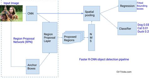 zero to hero guide to object detection using deep learning faster r