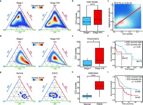 Cci Is An Independent Prognostic Marker In Escc A The Ternary Diagram