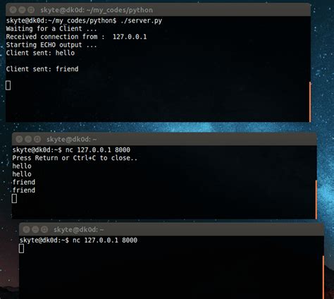 sec art simple echo server in python using sockets