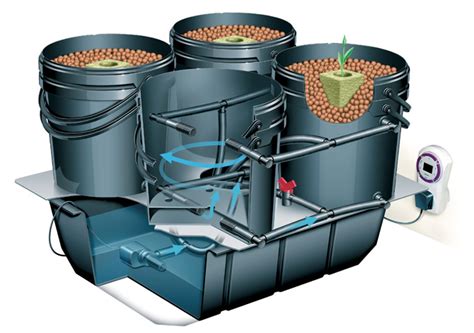 Hydroponic Systems Flood And Drain Aka Ebb And Flow System