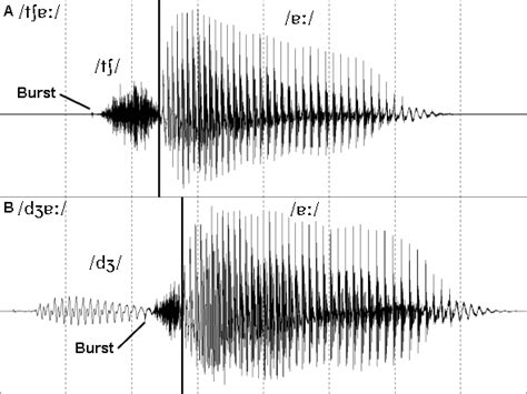 Macquarie University The Waveforms Of Speech
