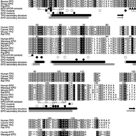 Determinants Of Specificity Of Tpo For C Mpl Residues That Are