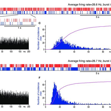 Spontaneous Firing Patterns Of A Gpe Neuron From A Control A C And