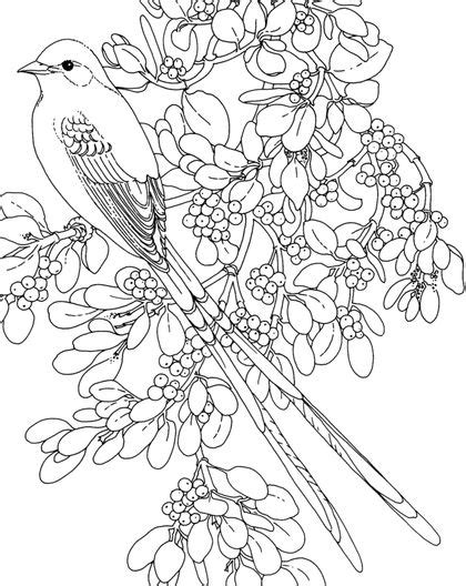 ★컬러링 도안★어른을 위한 색칠공부 꽃 And 새 네이버 블로그 Bird Coloring Pages Coloring