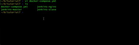 tutorial building with jenkins inside an ephemeral docker container