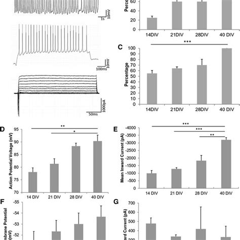 Characterization Of Hipsc Cortical Neuron Maturation Via Phase