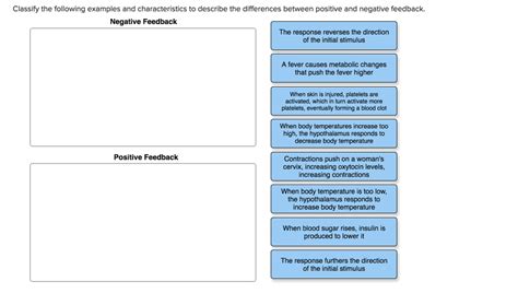 solved classify the following examples and characteristics