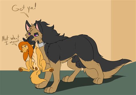 Post 1371580 Dixie Psy101 The Fox And The Hound