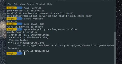 java download ubuntu 16 04 oracle mokasinlv
