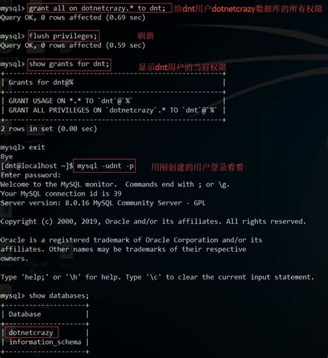 centos7安装mysql8 0小计 鲲逸鹏 博客园
