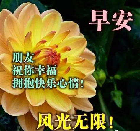 上午好图片新版2020 2020早上好图片 早上好图片新版 大山谷图库