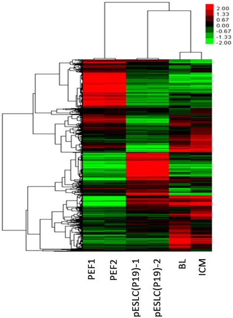 gene expression profiling of pesl cells using affymetrix microarrays