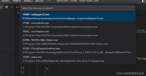 unity使用emmylua vscode打断点 csdn博客