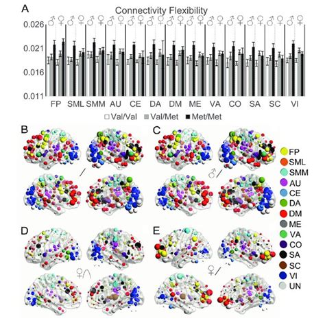 Effects Of Comt Genotype And Sex On Functional Connectivity