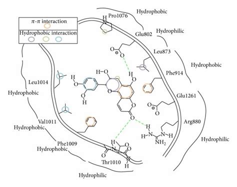 Predicted Binding Mode Of Compound 5 Docked Into The Active Site Of